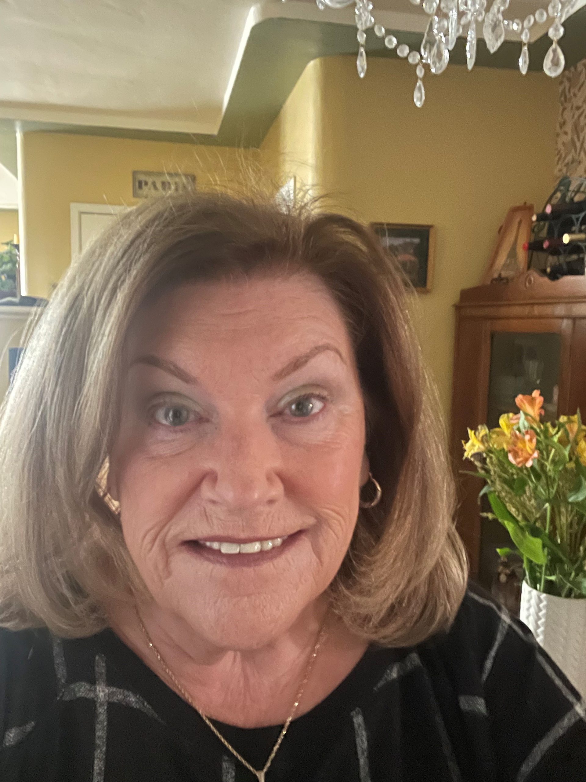 High Noon – University Gateway Houses | Nevada Historical Society